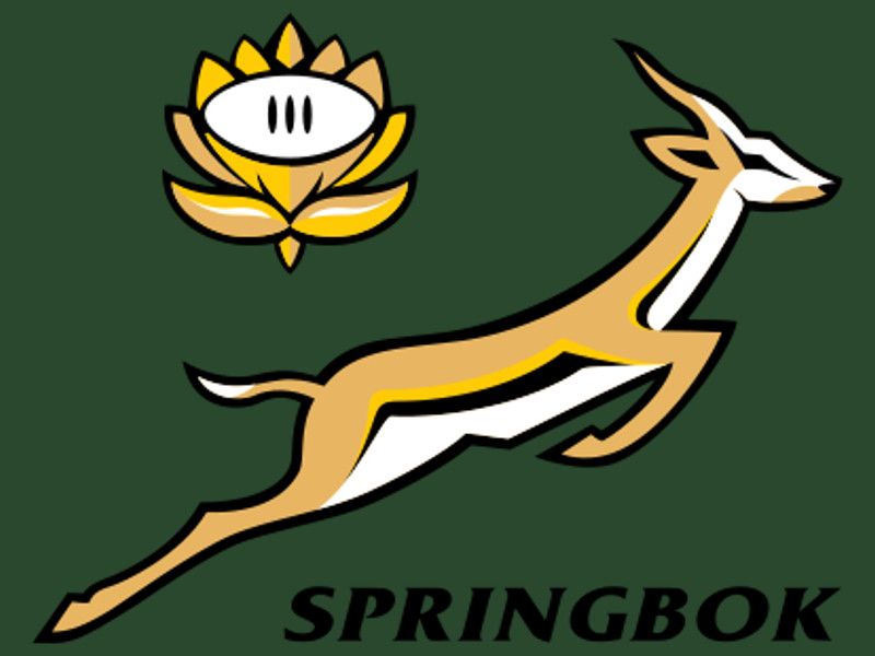 Springbok Logo Vector